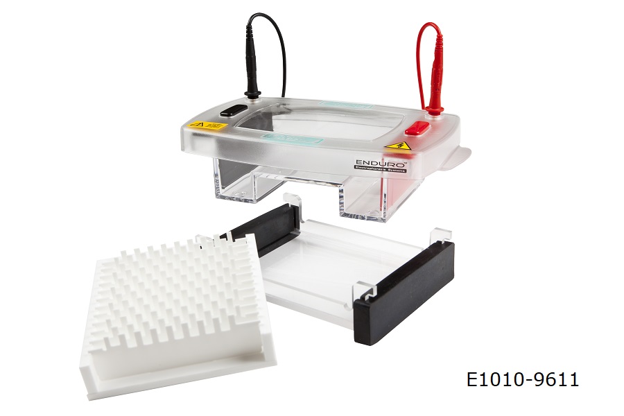 Enduro 10 x 10 cm Horizontal Gel Rig