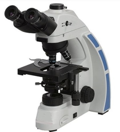 Compound Microscopes