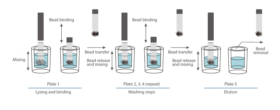 Accuris IsoPure Automated Extraction Systems