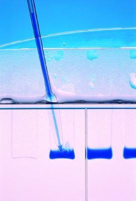 Gel Loading Tips | Avant | MIDSCI