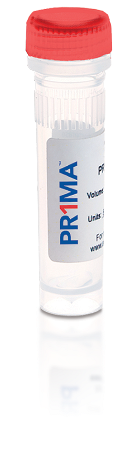 PR1MA Hot Start Taq | Hot Start Taq | PR1MA | MIDSCI