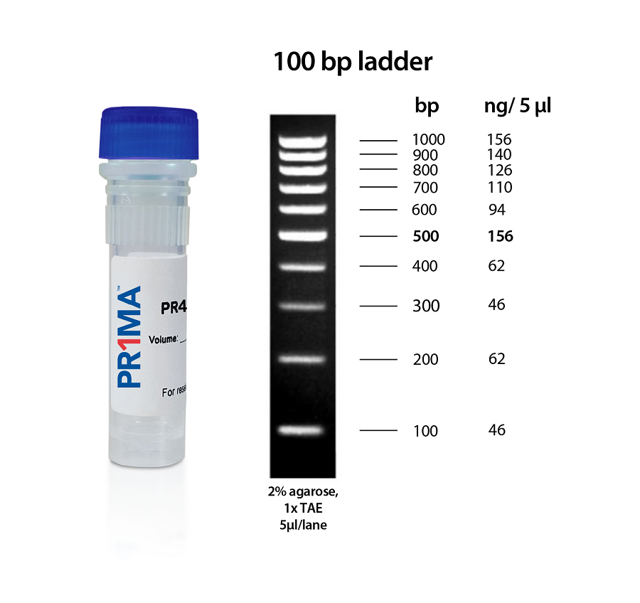 PR1MA SmartCheck DNA Ladders | SmartCheck | DNA Ladders | PR1MA | MIDSCI