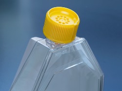 TPP Tissue Culture Flasks