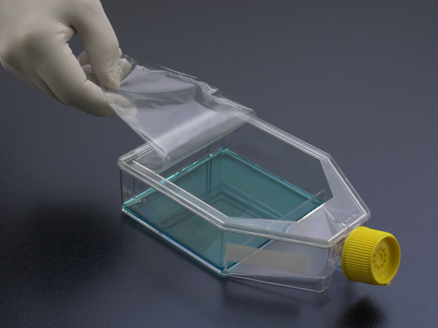 TPP Tissue Culture Flasks | Re-closable Lid and Peel-off Foil | MIDSCI